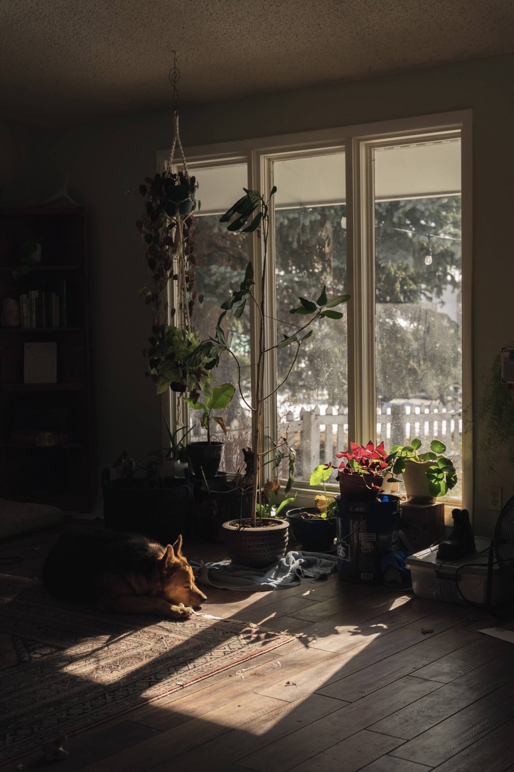 Gallery: Space - Alex Eaton