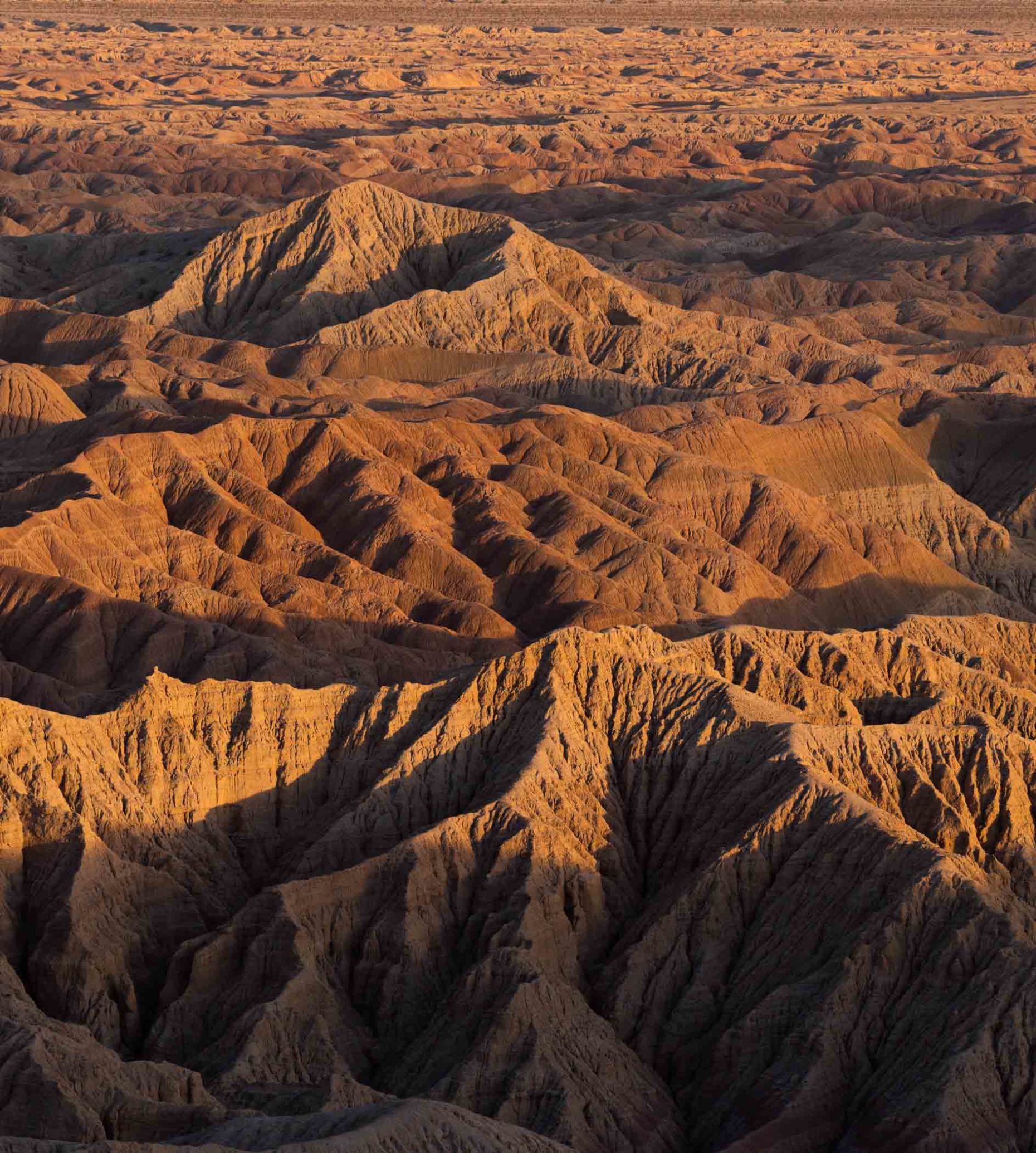 Portfolio - Alex Eaton