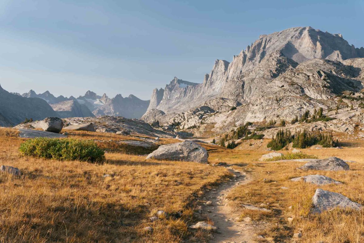 Portfolio - Alex Eaton