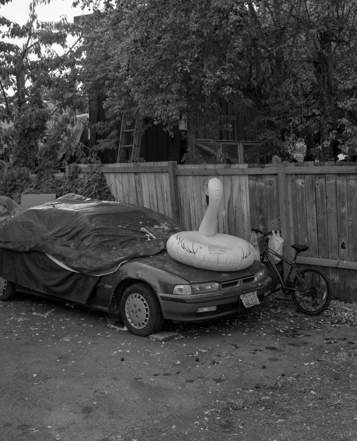 Latest Images - Alex Eaton