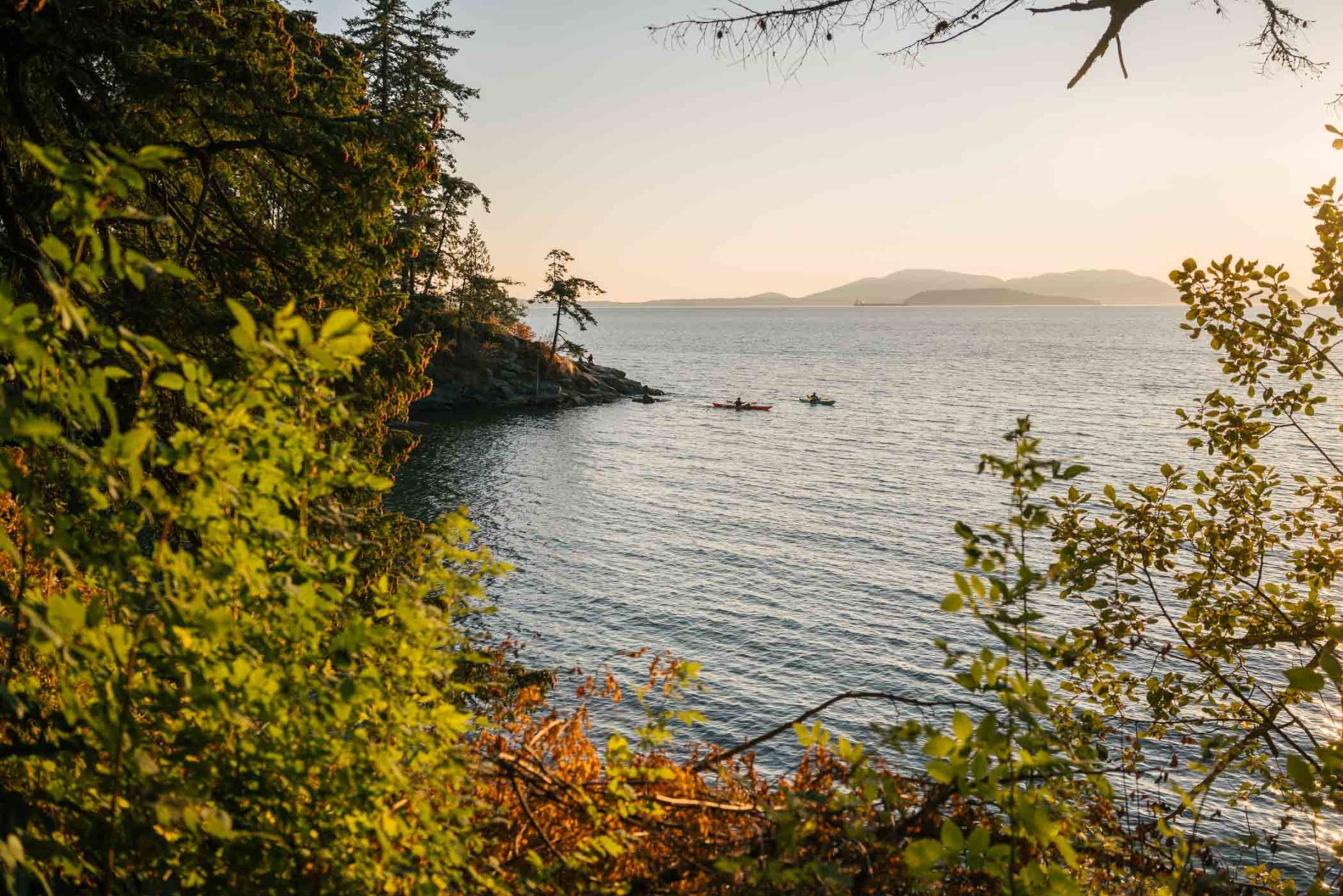 Latest Images - Alex Eaton