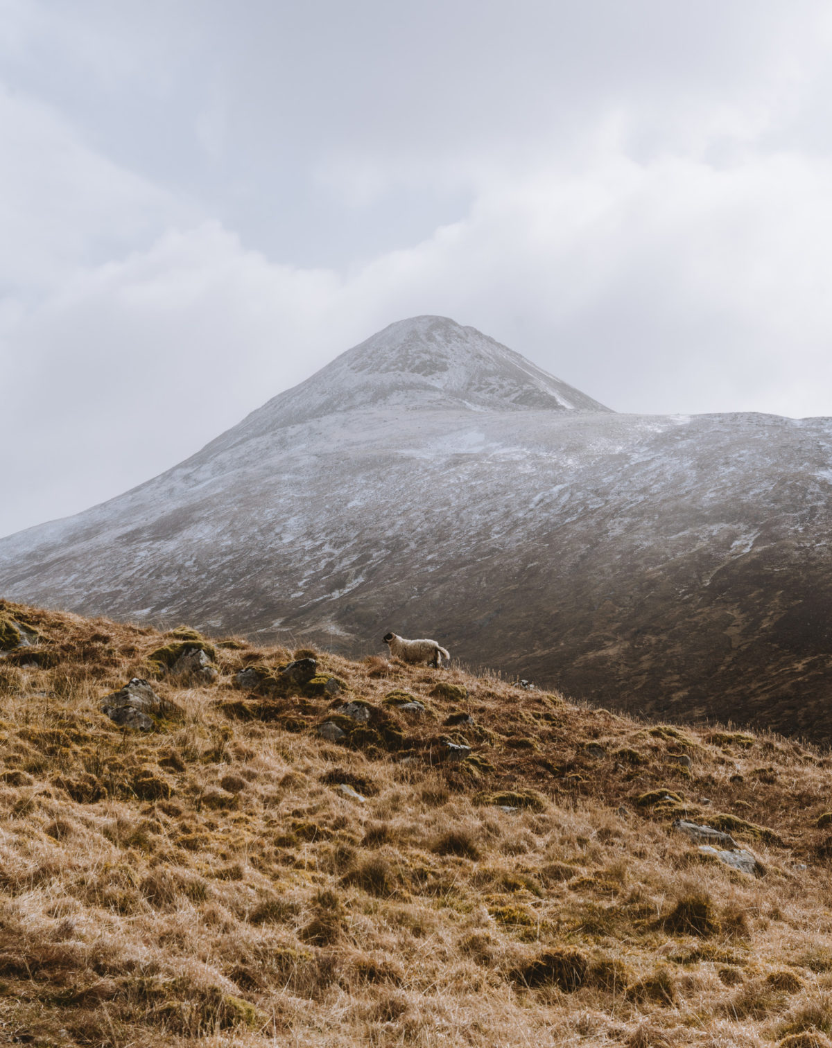 Gallery: Scottish Highlands - Alex Eaton